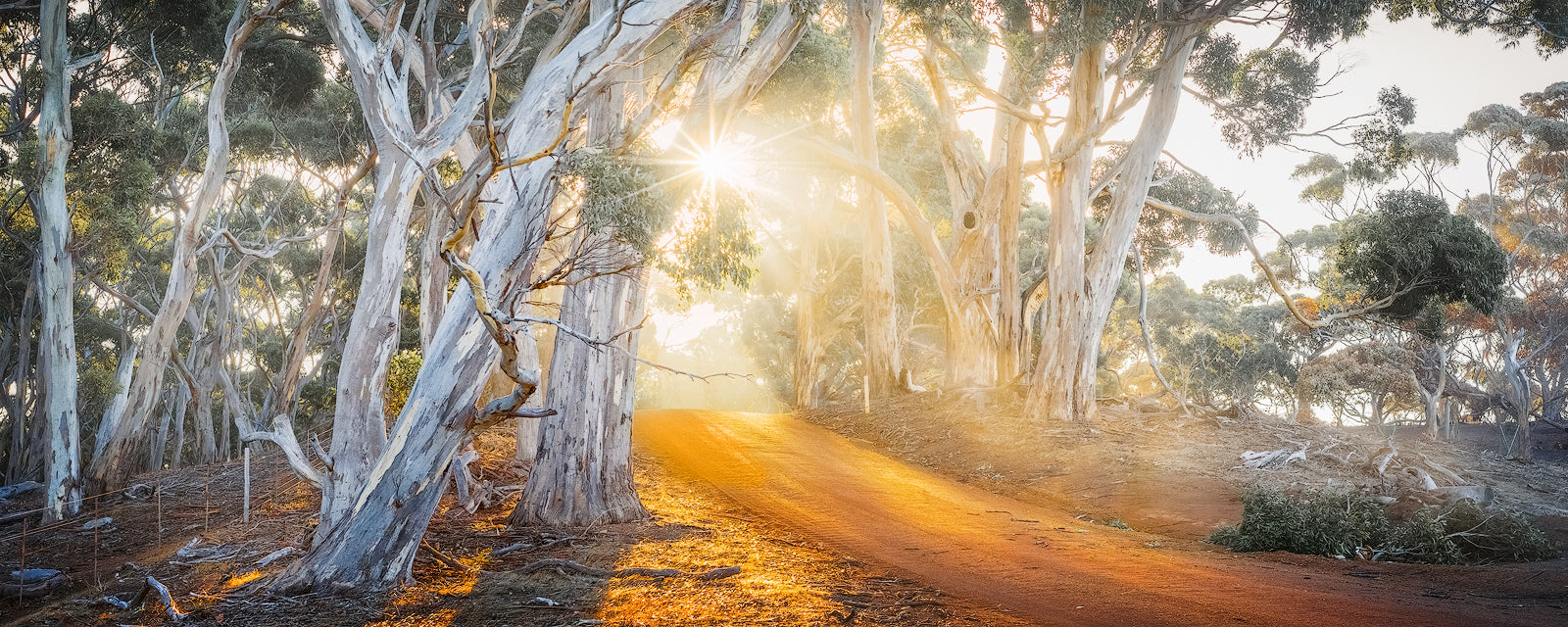 Benjamin Goode - South Australian Landscape Photographer
