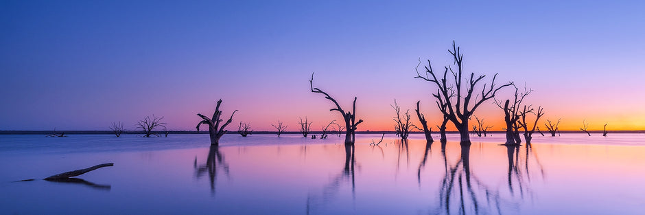 Stunning fine art prints of the peaceful Murray River – Benjamin Goode