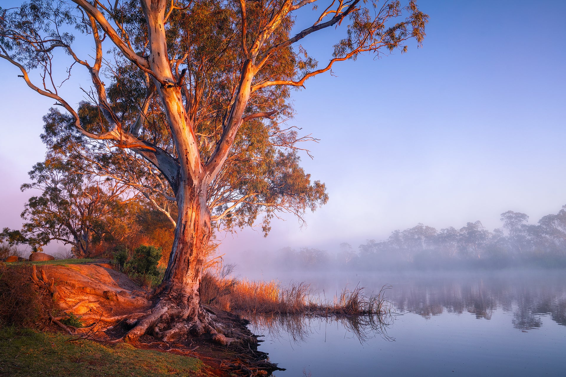Stunning fine art prints of the peaceful Murray River – Benjamin Goode