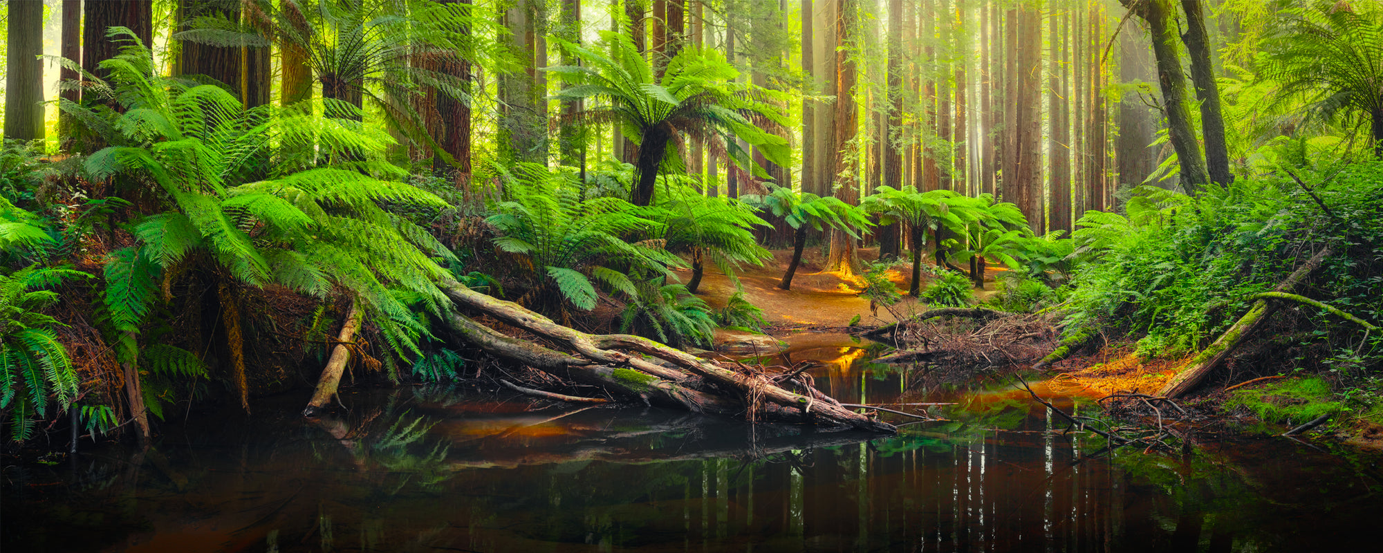 Benjamin Goode - South Australian Landscape Photographer