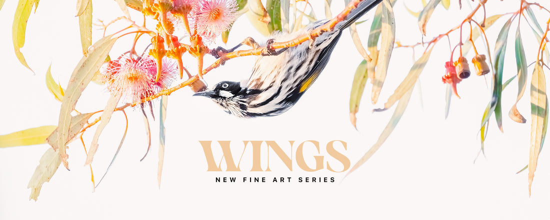 Benjamin Goode - South Australian Landscape Photographer