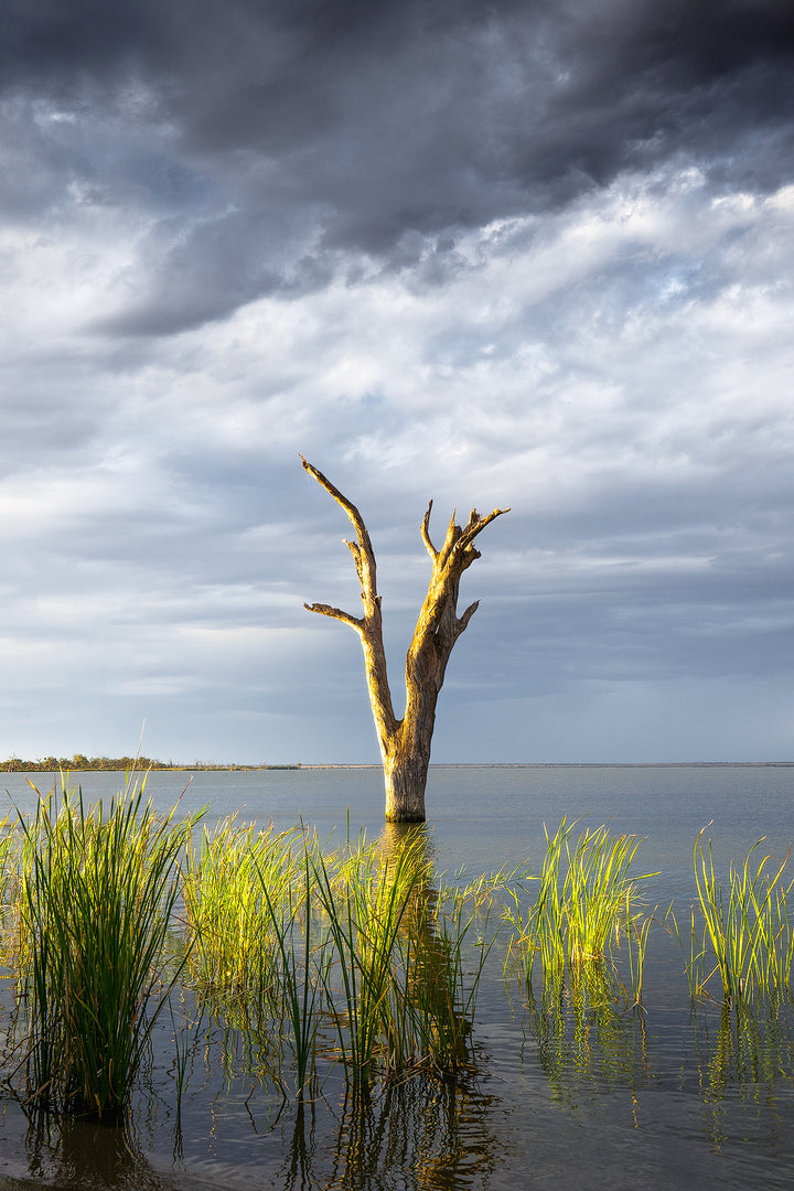 Stunning fine art prints of the peaceful Murray River – Benjamin Goode